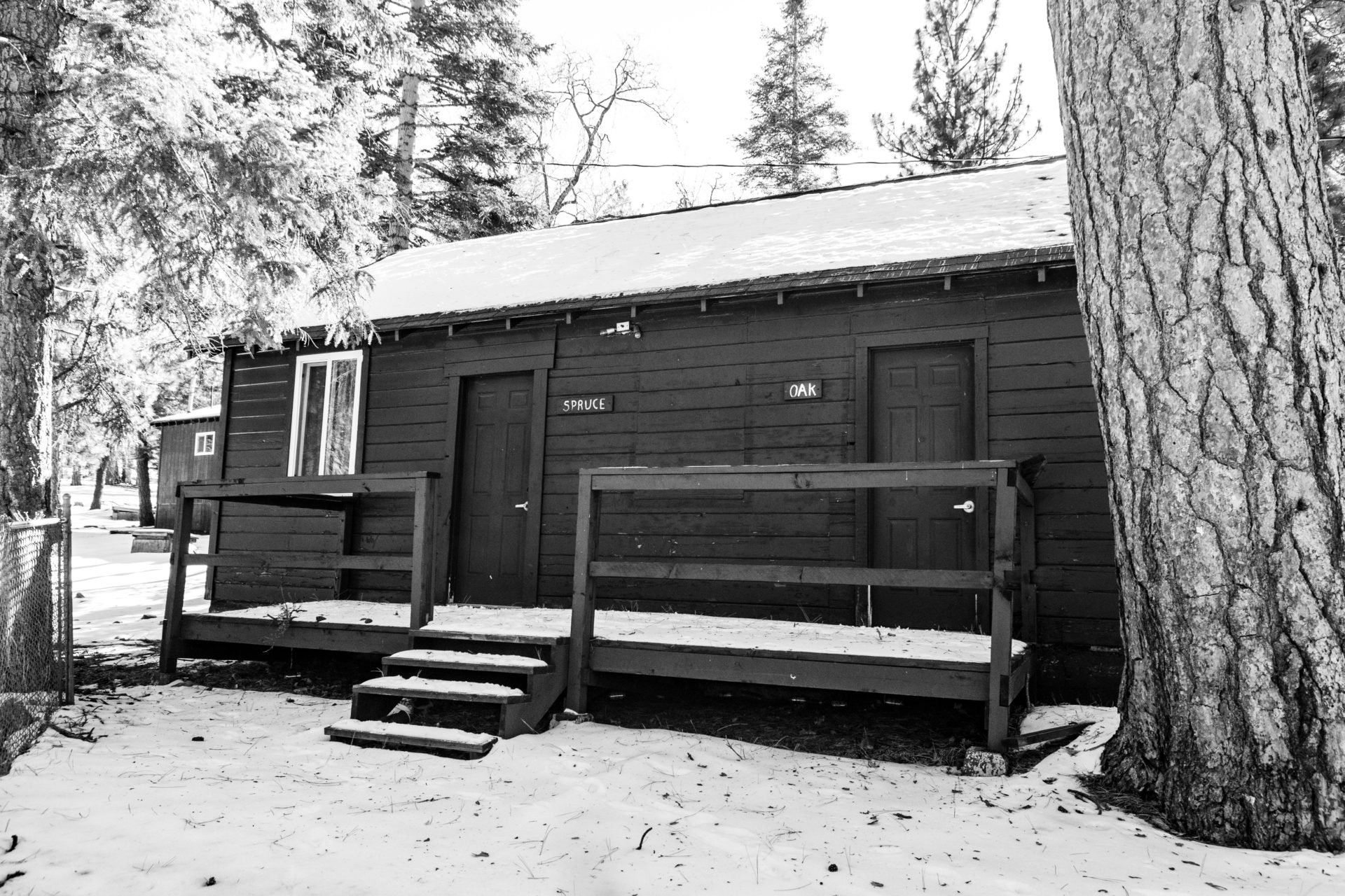 UniCamp’s Home for 2024 – UCLA UniCamp