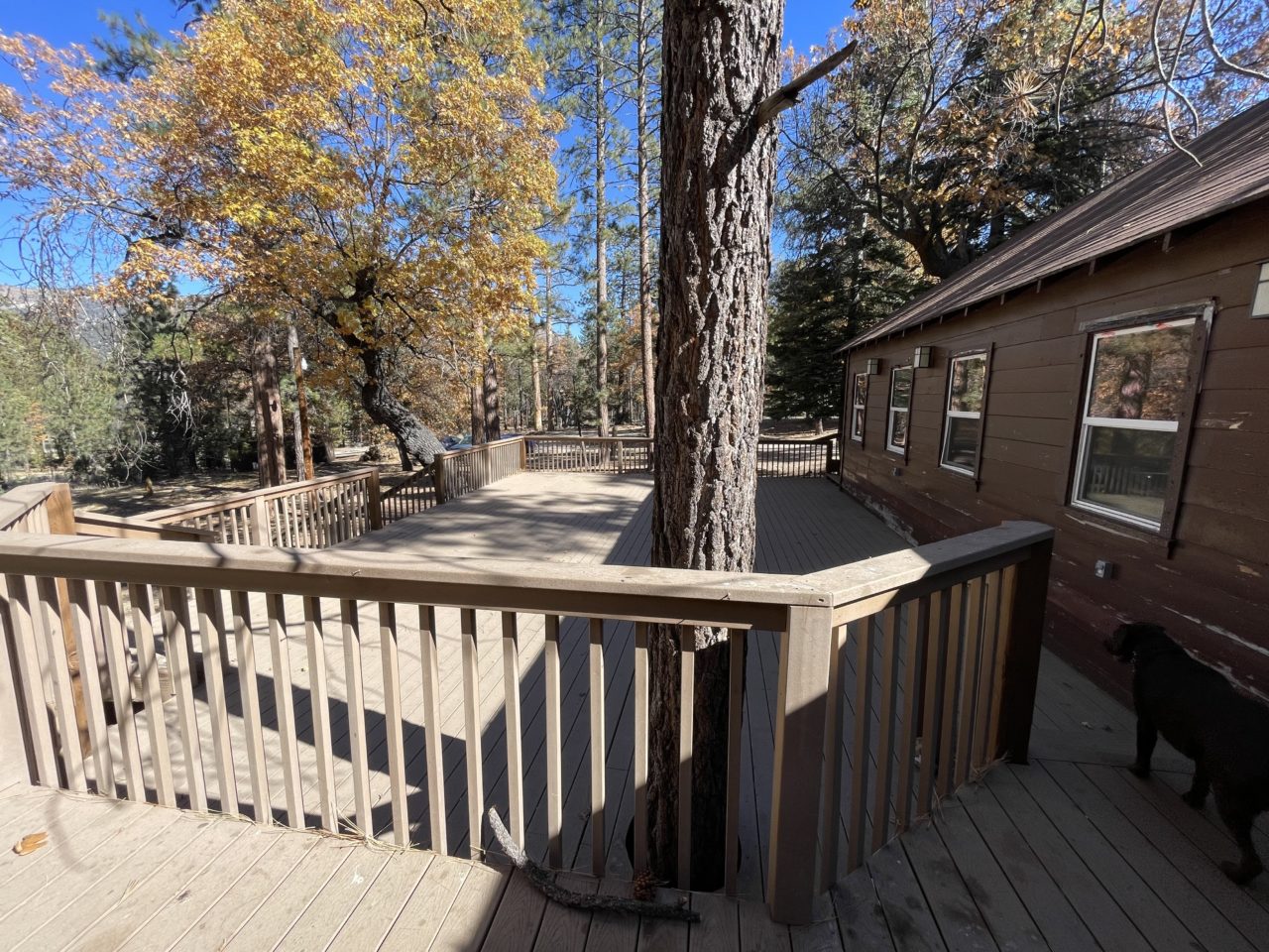 UniCamp’s Home for 2024 – UCLA UniCamp